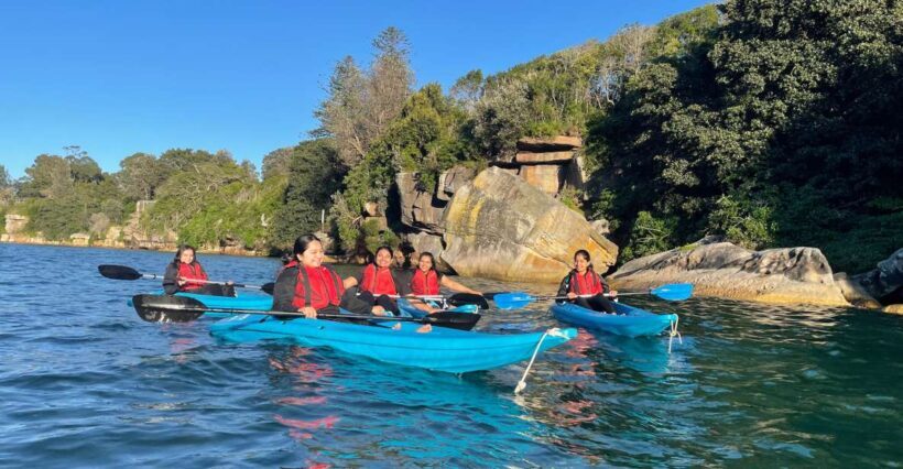 Sydney: Guided Kayak Tour of Manly Cove Beaches - Who Should Consider This Tour?