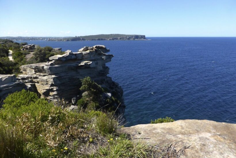 Sydney: Half-Day City Tour - Who Should Book This Tour?