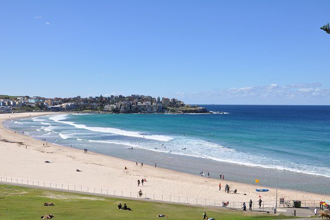 Sydney Half Day Private Tour - A Closer Look at the Itinerary and What Youll Experience