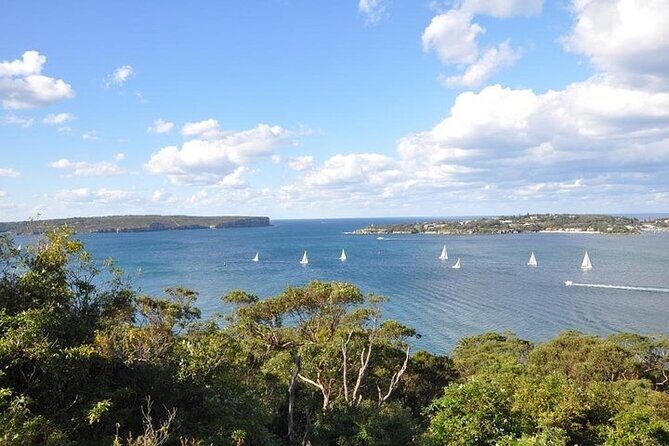 Sydney Half Day Private Tour - Final Thoughts