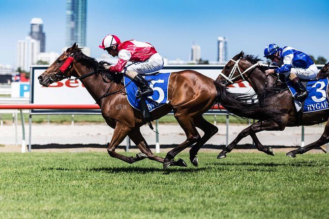 Sydney Harbour Melbourne Cup Cruise - Key Points