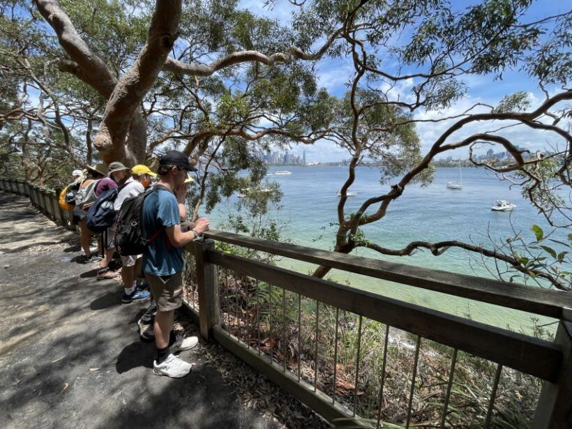 Sydney Harbour National Park 2-Hour Walking Tour - Sydney Harbour National Park 2-Hour Walking Tour Review