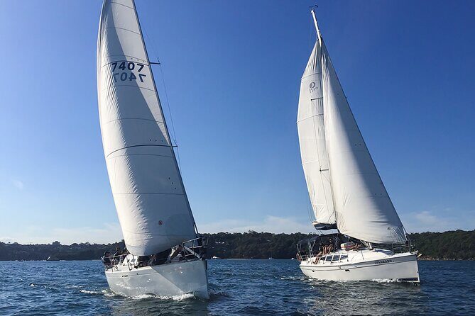 Sydney Harbour Sailing Experience - The Sum Up