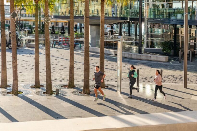 Sydney: Harbour Sights Running Tour - The Itinerary in Detail