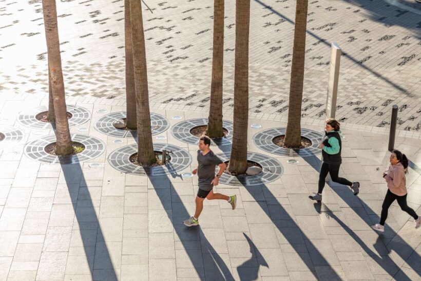 Sydney: Harbour Sights Running Tour - What Past Participants Say