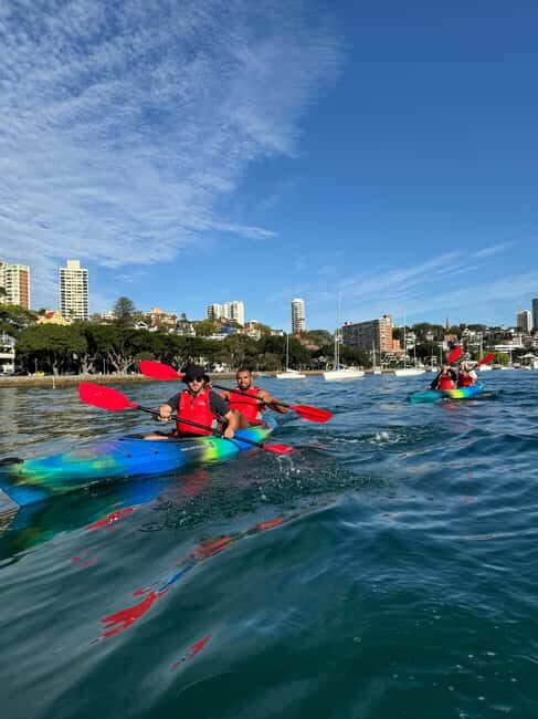 Sydney: Harbour Sunrise Kayak Tour - A Complete Review of the Sydney Harbour Sunrise Kayak Tour