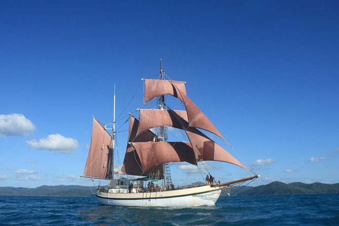 Sydney Harbour Tall Ship Whale & Sail - Whale Watching Cruise - An In-Depth Look at the Experience