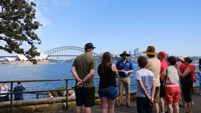 Sydney Harbour to Bondi: Small Group HalfDay Experience - Shopping and Culture at QVB and Oxford Street