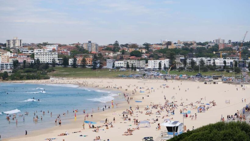 Sydney Harbour to Bondi: Small Group HalfDay Experience - Overlooks and Final Views