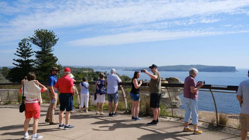 Sydney Harbour to Bondi: Small Group HalfDay Experience - Return to the City