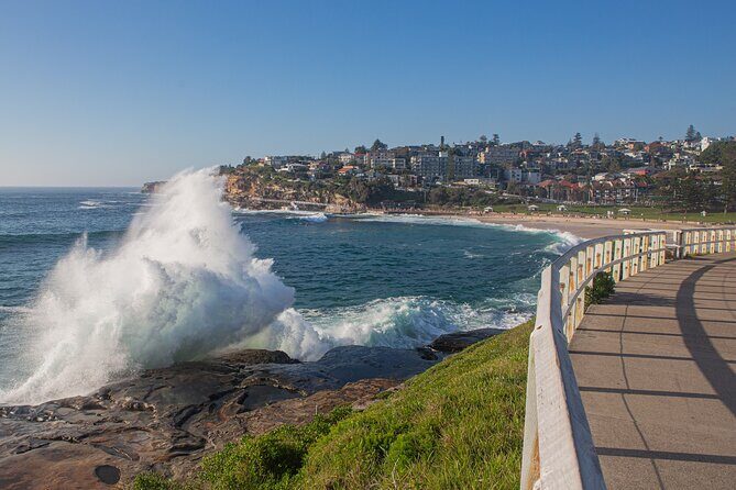 Sydney Highlights Half Day Tour - What Travelers Say and What to Expect