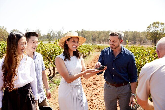 Sydney Hunter Valley Private Wine Tour with Tastings and Lunch - Key Points