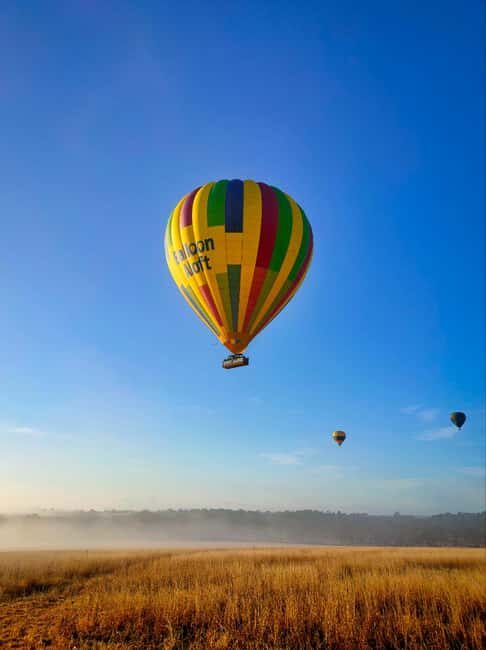 Sydney: Hunter Valley Sunrise Balloon Flight with Transfer - The Value of This Tour
