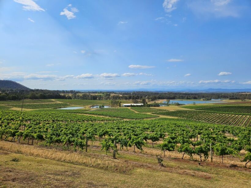 Sydney Hunter Valley Tour - The Experience and What Travelers Say