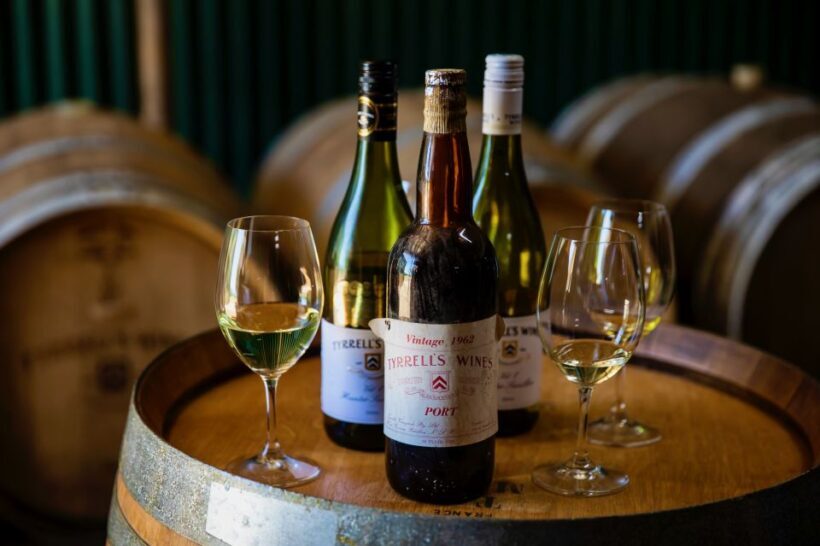 Sydney: Hunter Valley Wineries Day Trip with Food Tastings - What to Expect from this Hunter Valley Day Trip