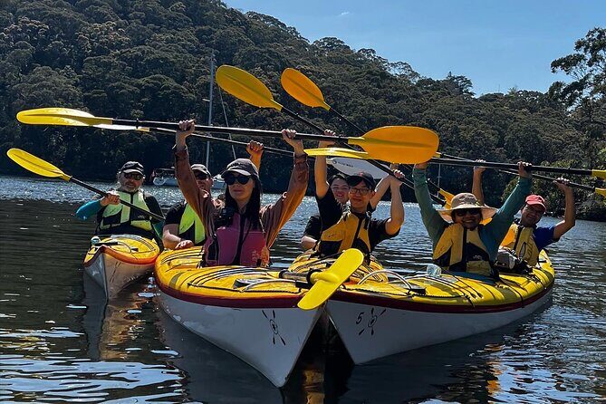 Sydney Kayak Seal Encounter Adventure with Gourmet Food - Why This Tour Is a Great Choice