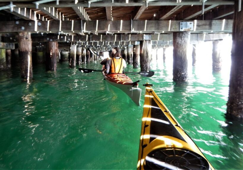 Sydney: Kayak to Goat Island At The Heart of Sydney Harbour - The Sum Up