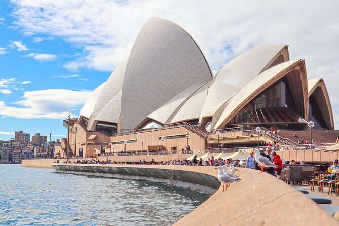 Sydney Like a Local: Customized Private Tour - Who Is This Tour Best For?