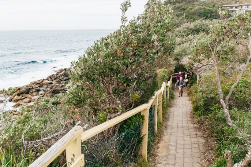 Sydney: Manly and Shelly Beach Snorkeling Tour - An In-Depth Look at the Experience