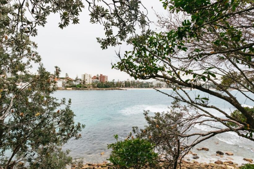 Sydney: Manly and Shelly Beach Snorkeling Tour - Frequently Asked Questions