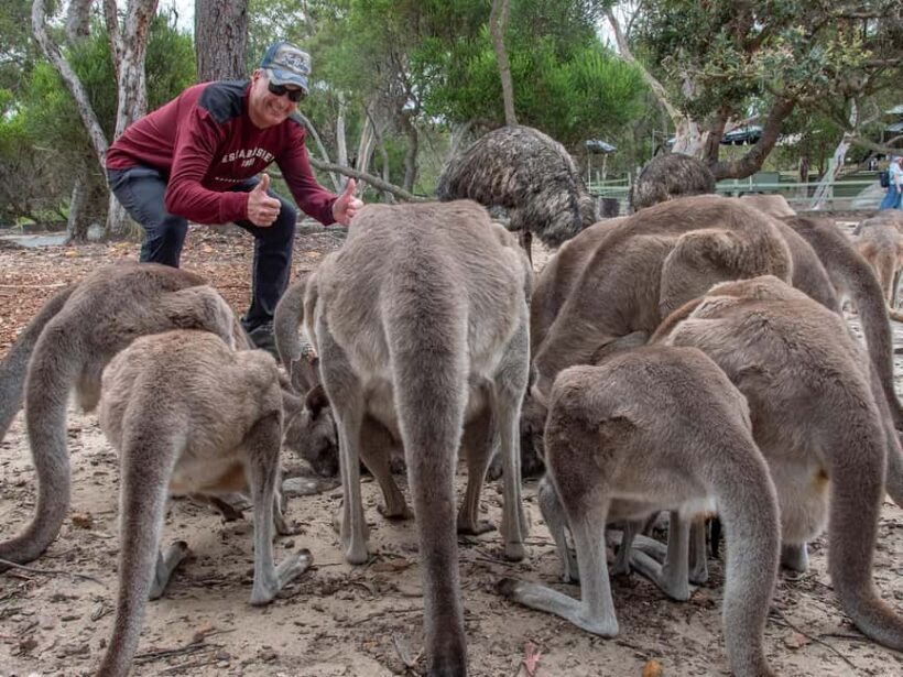 Sydney: Nature and Wildlife - Australia in One Day - The Sum Up