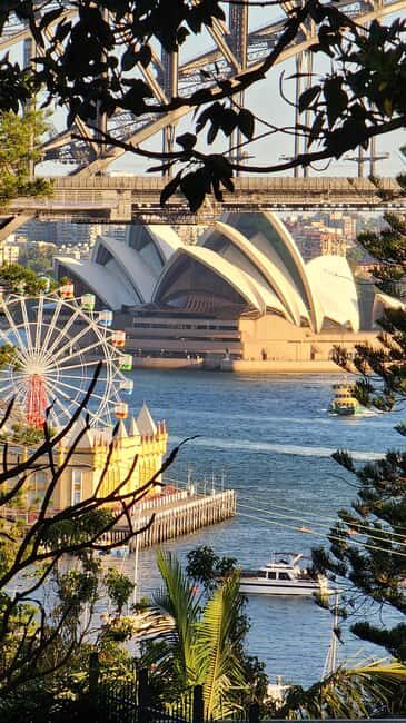 Sydney: Opera & Harbour Bridge Small-Group Kayak Tour - Why You Should Consider This Tour