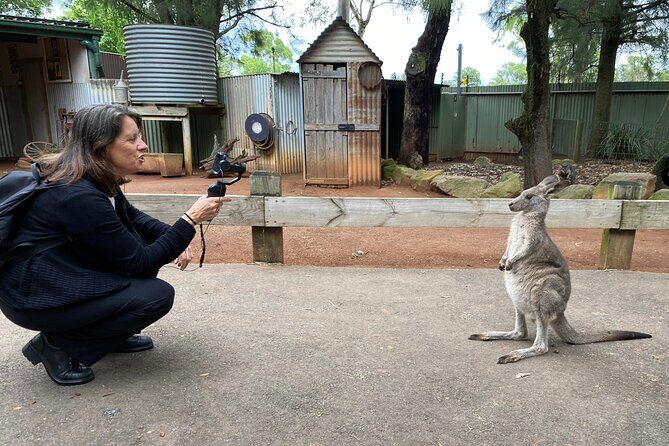 Sydney Opera House and Aussie Animals Private Tour - Discovering Sydney’s Icons and Wildlife: A Review of the Private Tour
