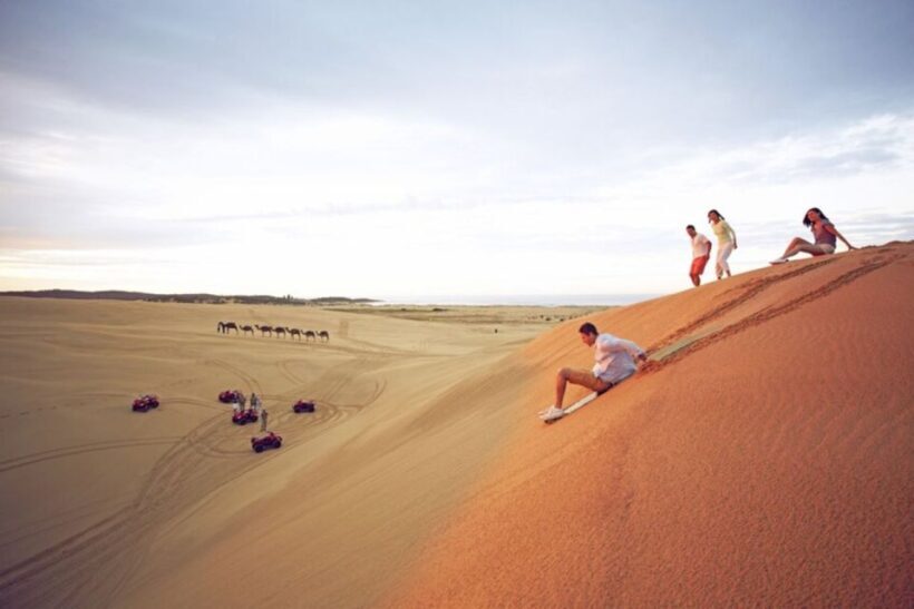 Sydney: Port Stephens Dolphin Cruise & Sandboarding Day Trip - Who Will Love This Tour?