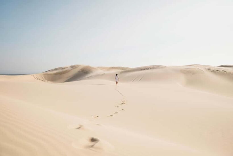 Sydney: Port Stephens Dolphin Watching & Sand Dunes Day Tour - An In-Depth Look at the Port Stephens Day Tour