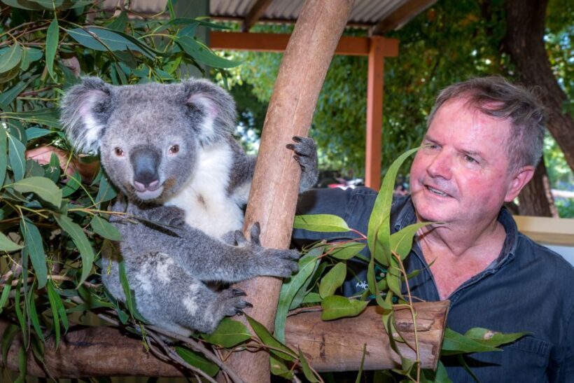 Sydney: Private Blue Mountains, Waterfalls, Walks & Meals - Key Points