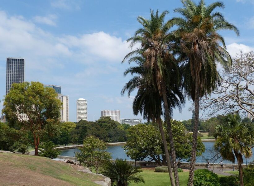 Sydney: Private Customizable Tour with a Local - What We Think About the Price