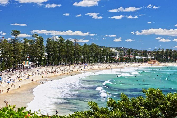 Sydney Private Day Tours | See Sydney in Style | 8 Hour Luxury Private Tour - Authentic Experiences and Real Traveler Insights