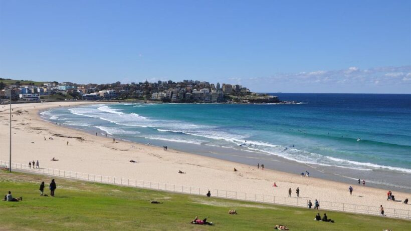 Sydney: Private Half-Day Sightseeing Tour - Final Thoughts