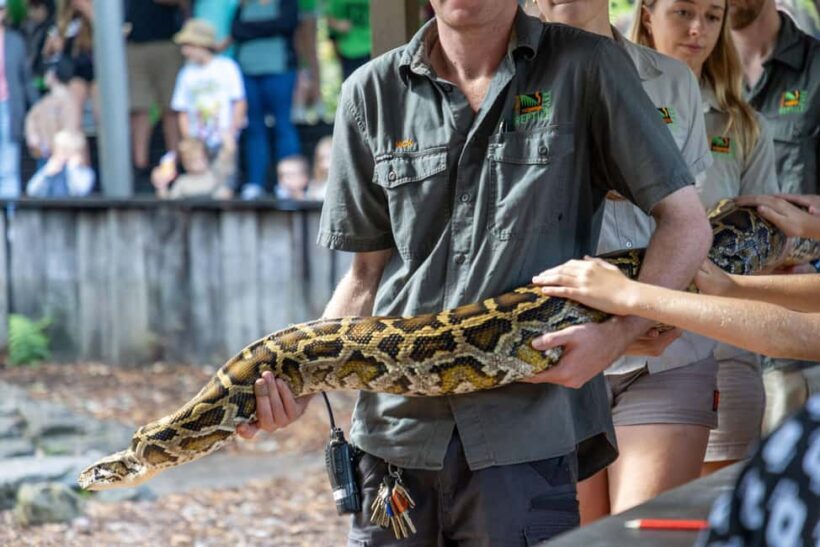 Sydney: Reptile Park and Avoca Beach Day Trip with Entry - Who Would Love This Tour?