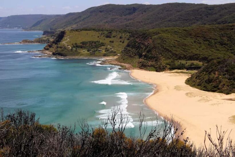 Sydney: Royal National Park private day tour - Who Will Love This Tour?