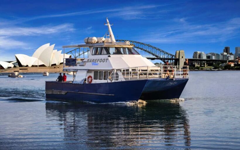 Sydney: Scenic Whale Watching Cruise - Whales Guaranteed - FAQ