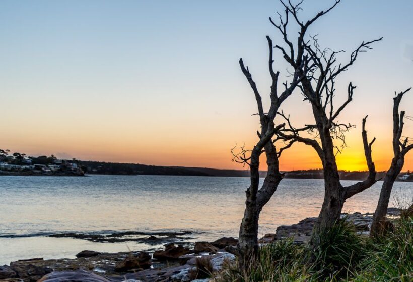 Sydney: Sea Cliff Bridge, Kiama Blowhole and Farmlands Tour - Price and Value