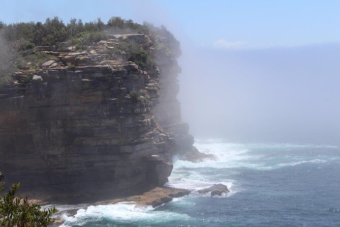 Sydney Shore Excursion: Half-Day Sydney City Highlights and Manly - Who Is This Tour Best For?