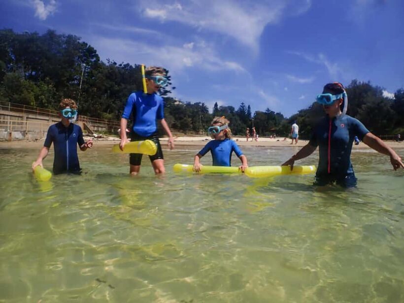 Sydney: Snorkeling Tour for Kids with Private Guide - A Practical Review of the Sydney: Snorkeling Tour for Kids with Private Guide