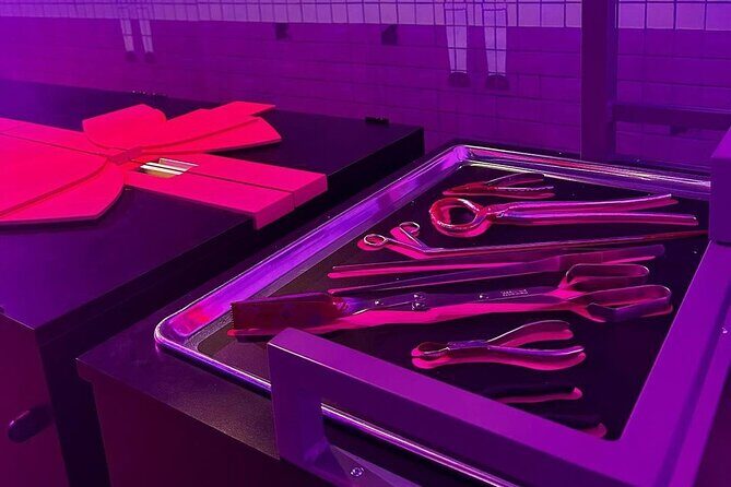 Sydney Squid Game Experience Entry Ticket - Who Should Consider This Experience?