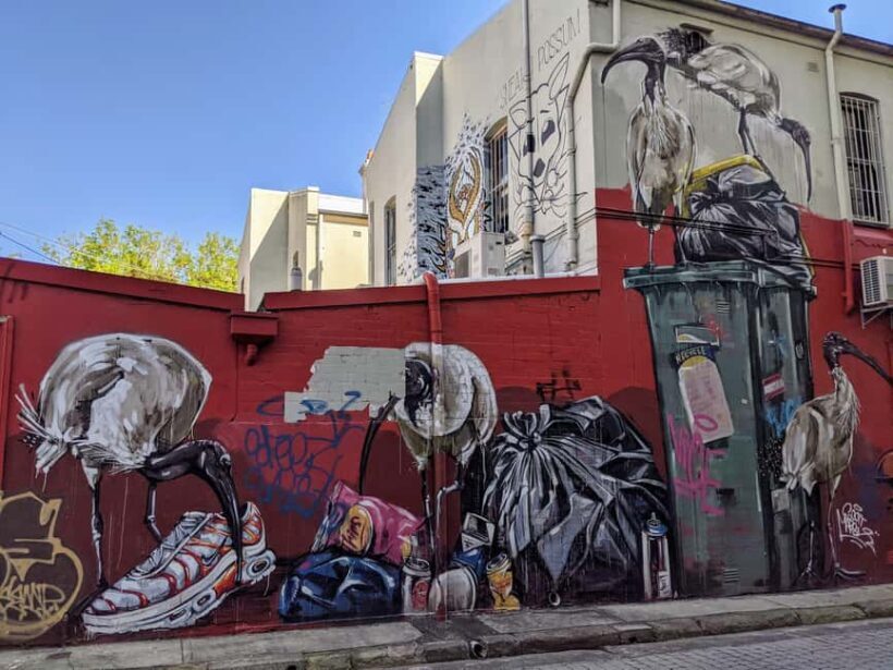 Sydney: Street Art & Small Bar Tour with Complimentary Drink - An In-Depth Look at the Tour Experience