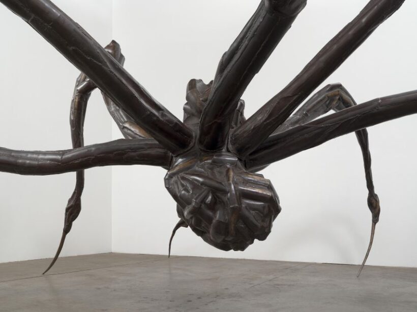 Sydney Summer Art Exhibitions Art Gallery of New South Wales - Key Points