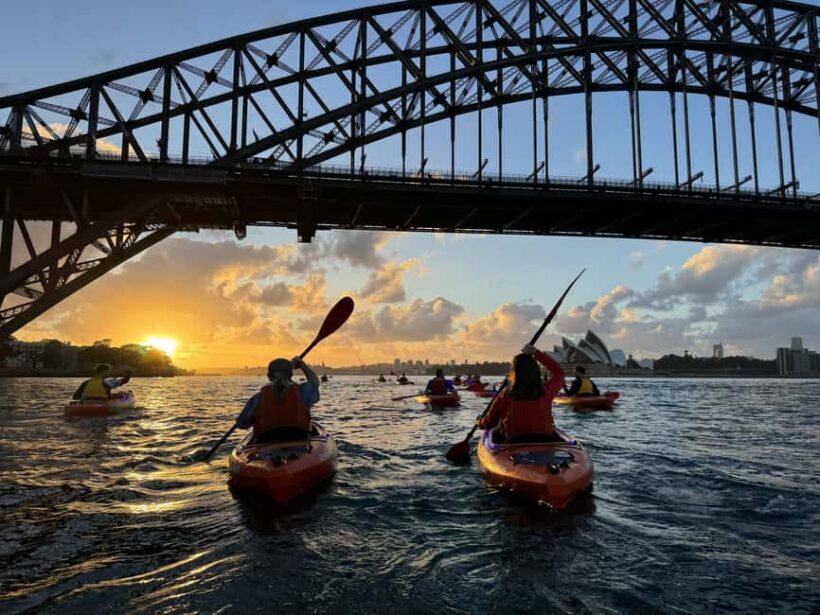 Sydney: Sunrise Kayak, Opera House & Under Harbour Bridge - An In-Depth Look at the Sydney Sunrise Kayak Tour