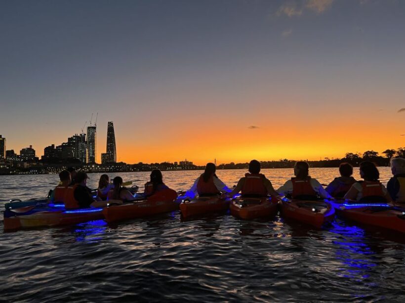 Sydney: Sunset Kayak Tour on Sydney Harbour - A Close Look at the Experience