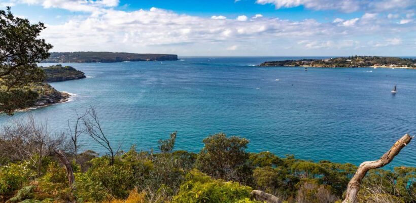 Sydney: Taronga to Balmoral hike with Picnic and painting - Discovering the Sydney Treasure: Taronga to Balmoral Hike with Picnic and Painting