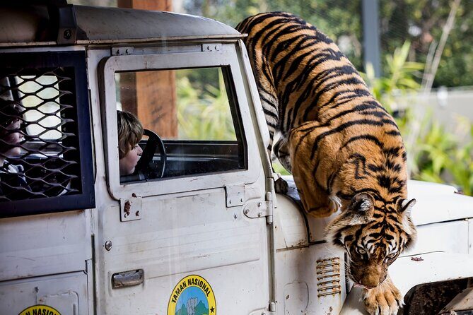 Sydney Taronga Zoo General Entry Ticket - The Sum Up: Who Will Love This Experience?