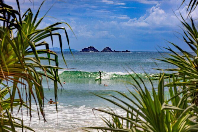 Sydney to Byron Bay Pacific Coast Road Trip - Who Should Consider This Tour?