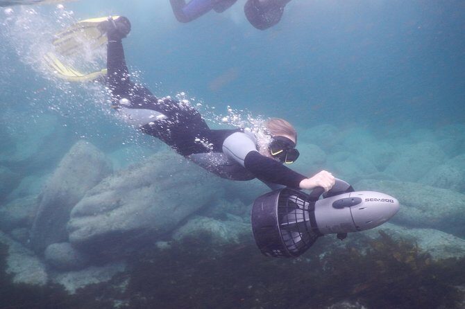 sydney underwater scooter tours - What Makes This Tour Stand Out