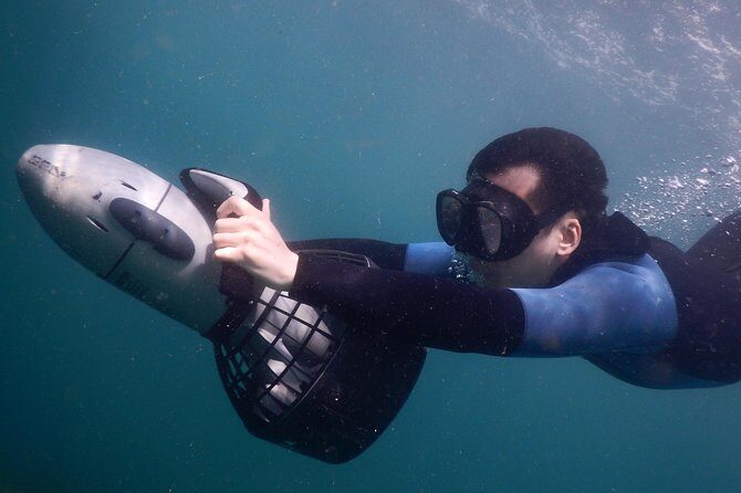 sydney underwater scooter tours - Analyzing Value: Is It Worth It?