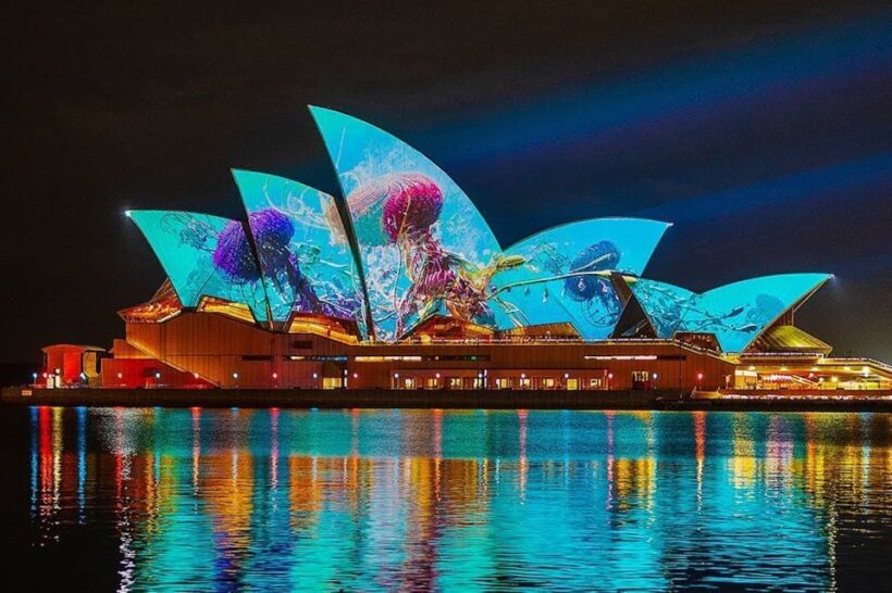 Sydney: Vivid Harbour Cruise with Canapes - Who Should Consider This Cruise?